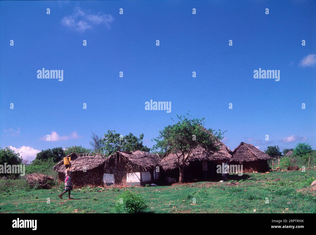 Tached roof hi-res stock photography and images - Alamy