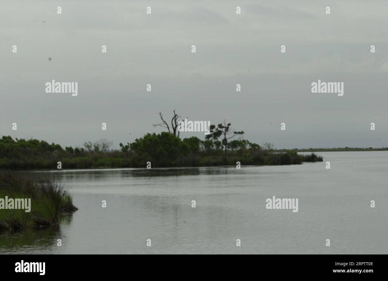 Wildlife viewed during visit of Secretary Gale Norton to Louisiana to ...