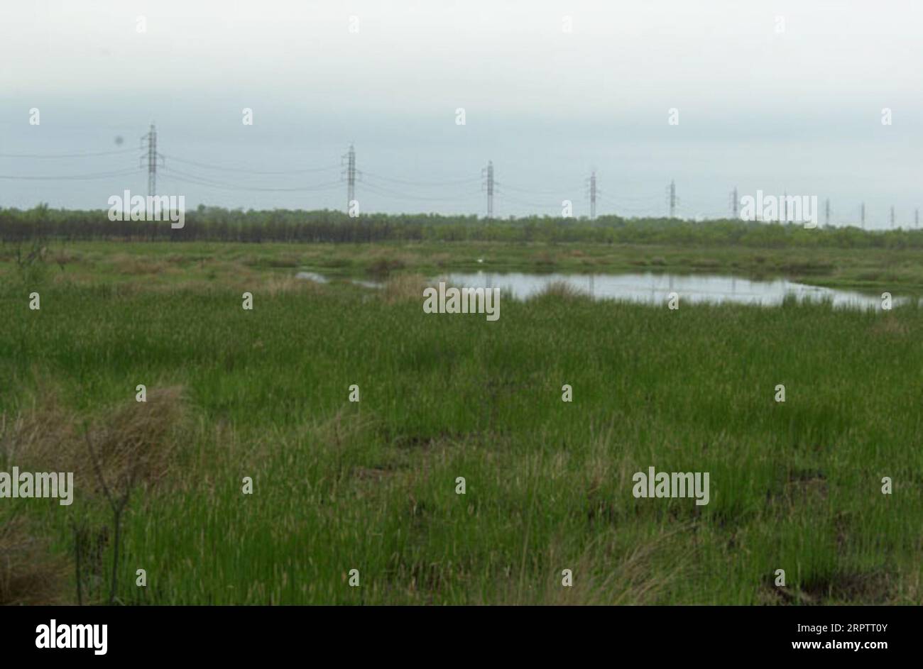 Wildlife viewed during visit of Secretary Gale Norton to Louisiana to ...