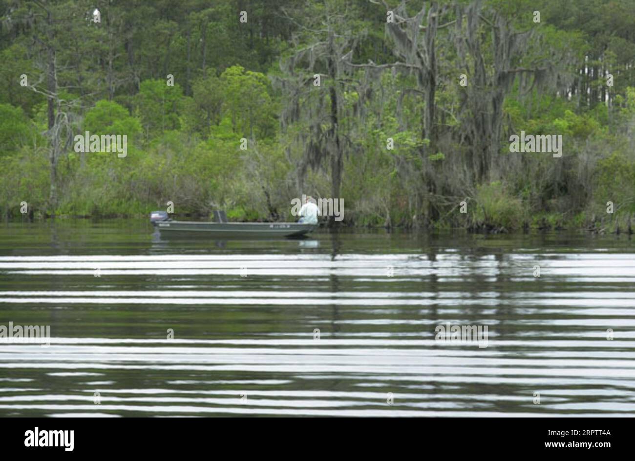 Wildlife viewed during visit of Secretary Gale Norton to Louisiana to ...