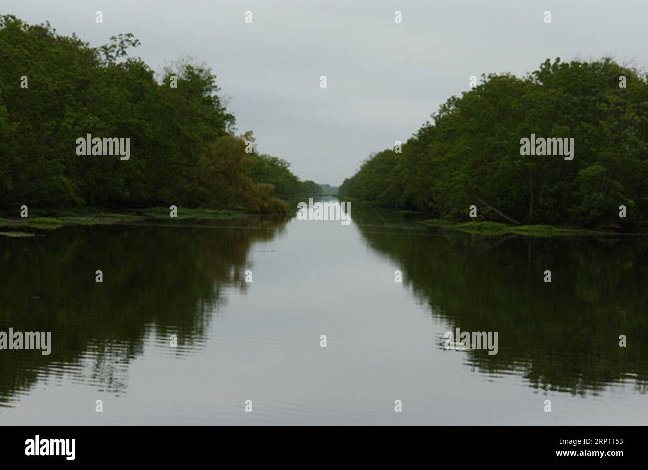 Wildlife viewed during visit of Secretary Gale Norton to Louisiana to ...