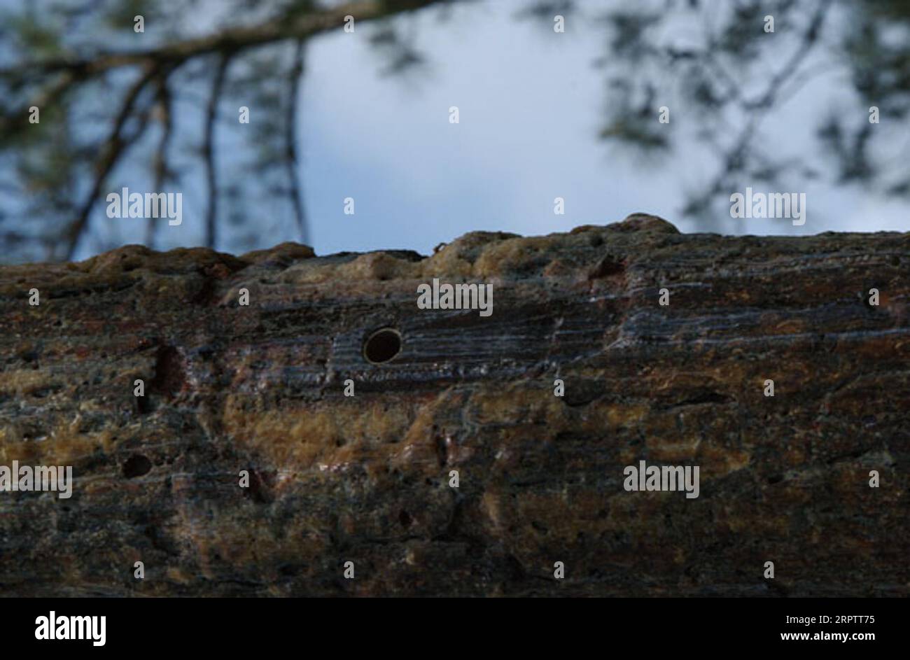 Wildlife viewed during visit of Secretary Gale Norton to Louisiana to ...