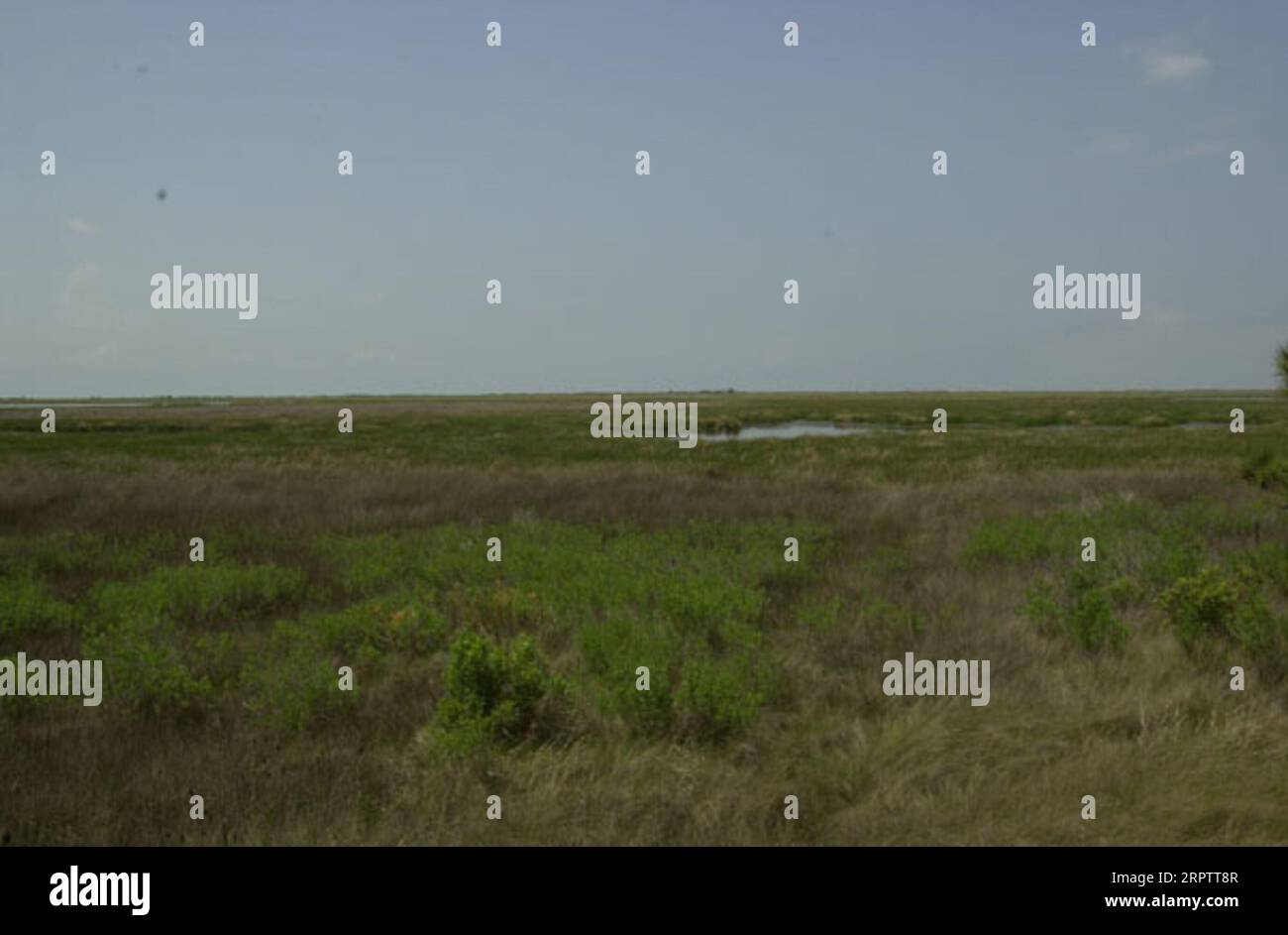 Wildlife viewed during visit of Secretary Gale Norton to Louisiana to ...