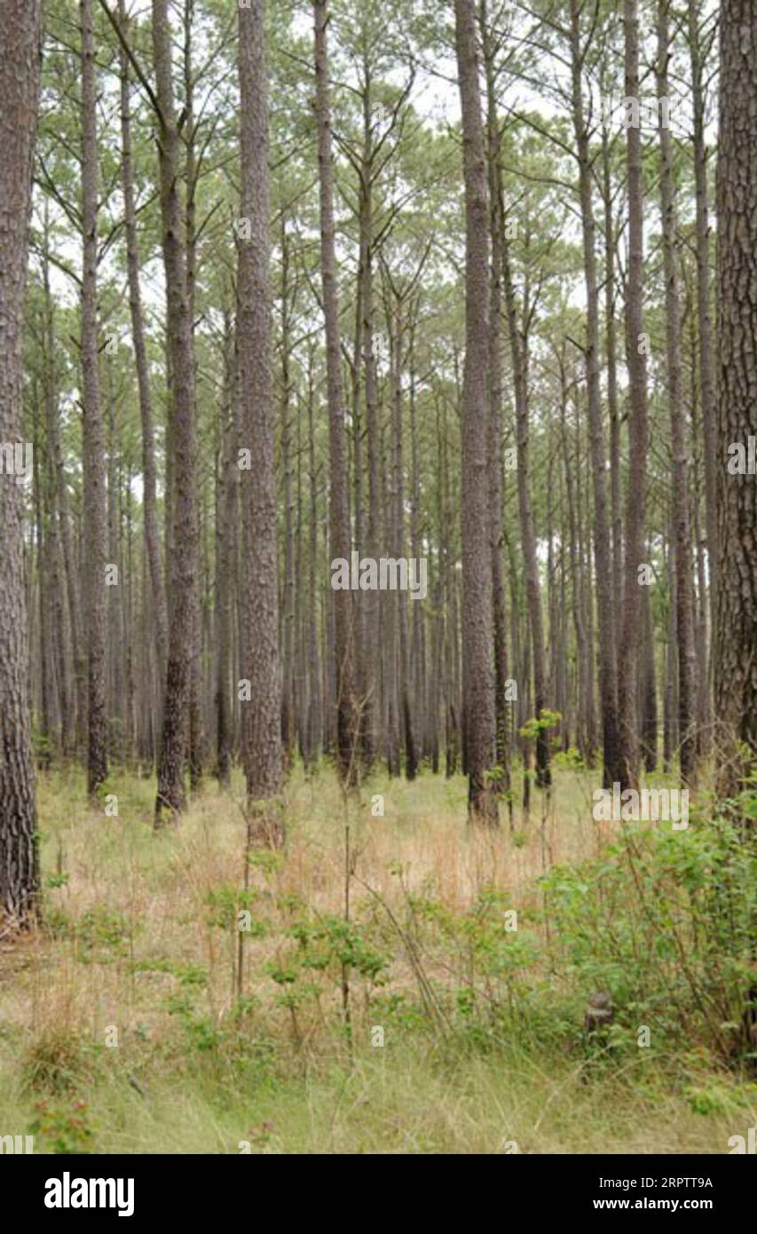 Wildlife viewed during visit of Secretary Gale Norton to Louisiana to ...