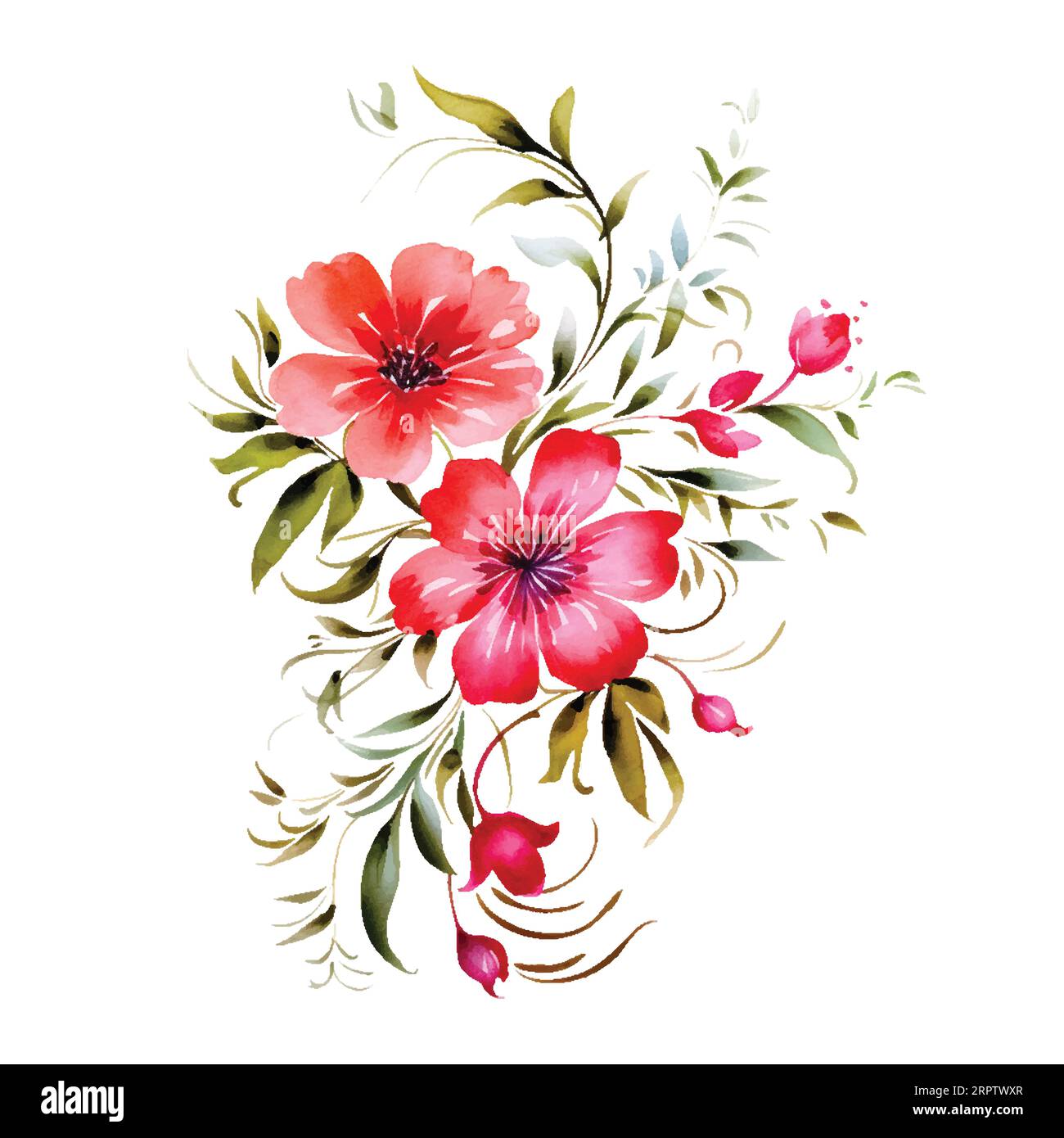 Watercolor pink wild flowers. Isolated and editable vector clipart ...