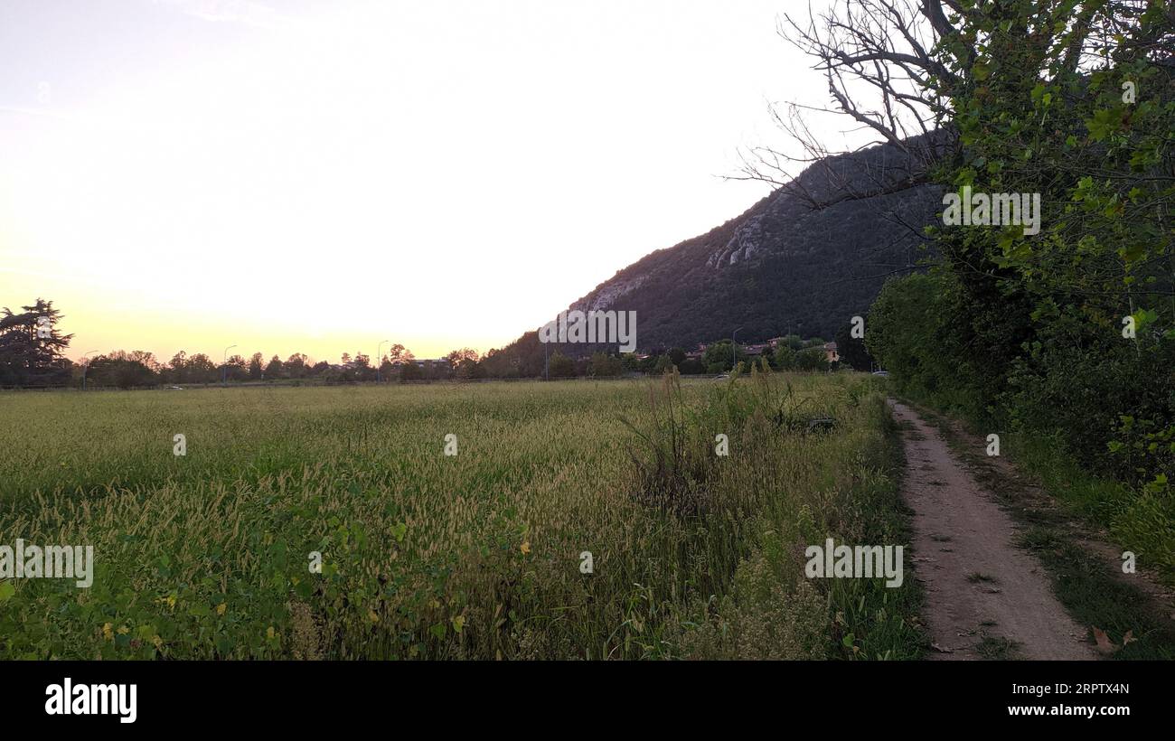 landscape with meadow and mountains in northern Italy Stock Photo - Alamy