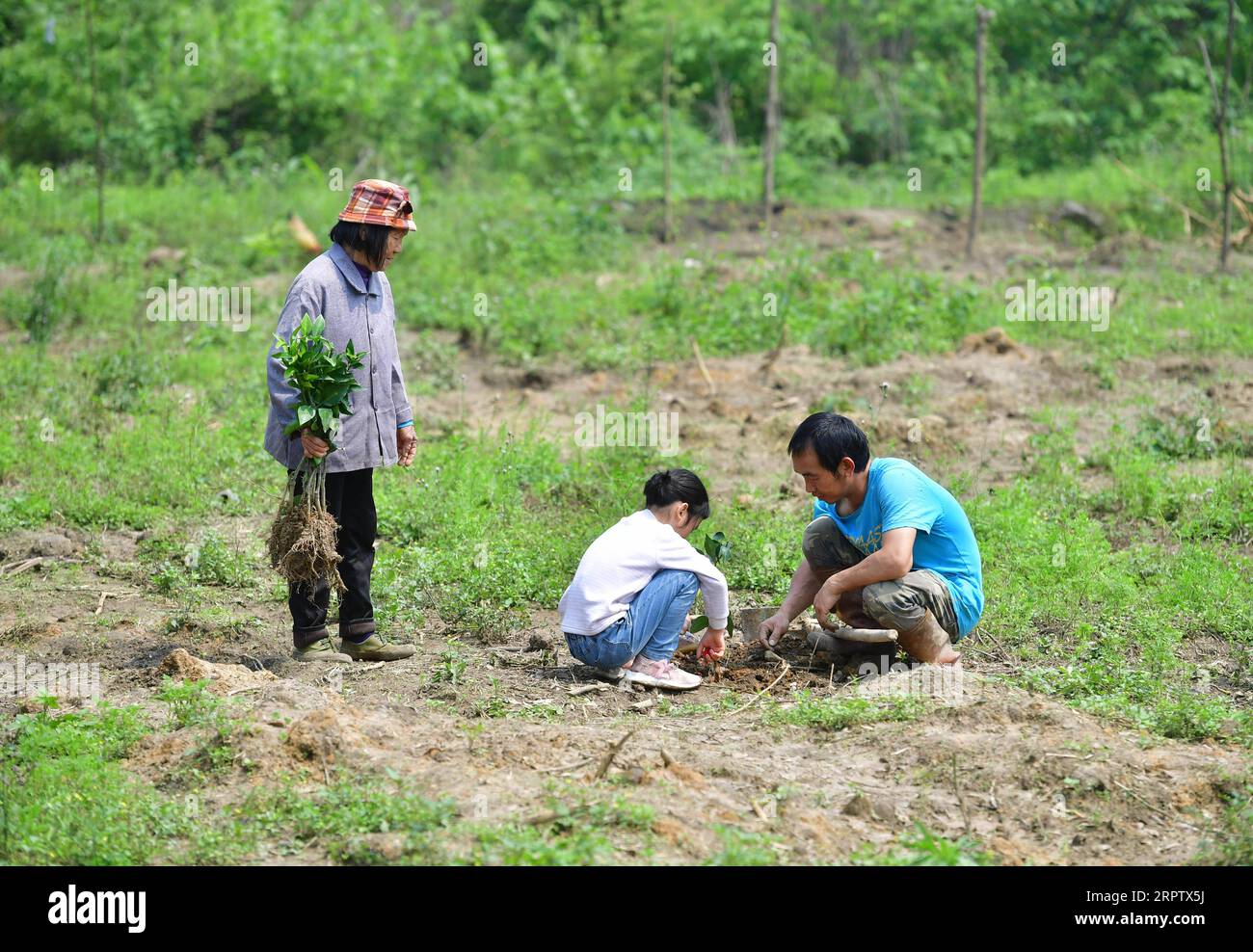 200418 -- LUZHAI, April 18, 2020 -- Pan Wenming 1st R with his daughter ...