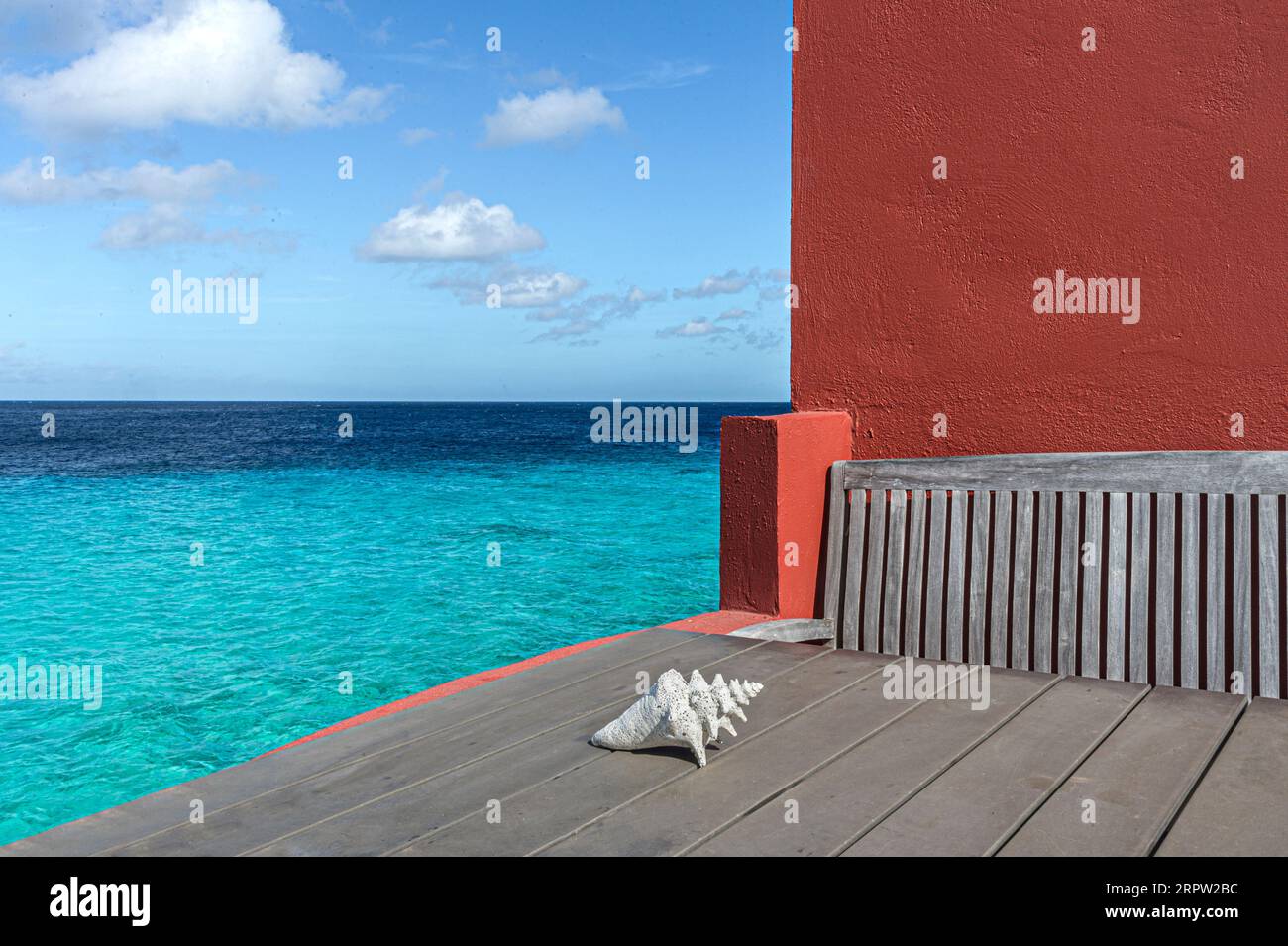 Bleached shell on weathered table, Curacao, Netherland Antilles ...