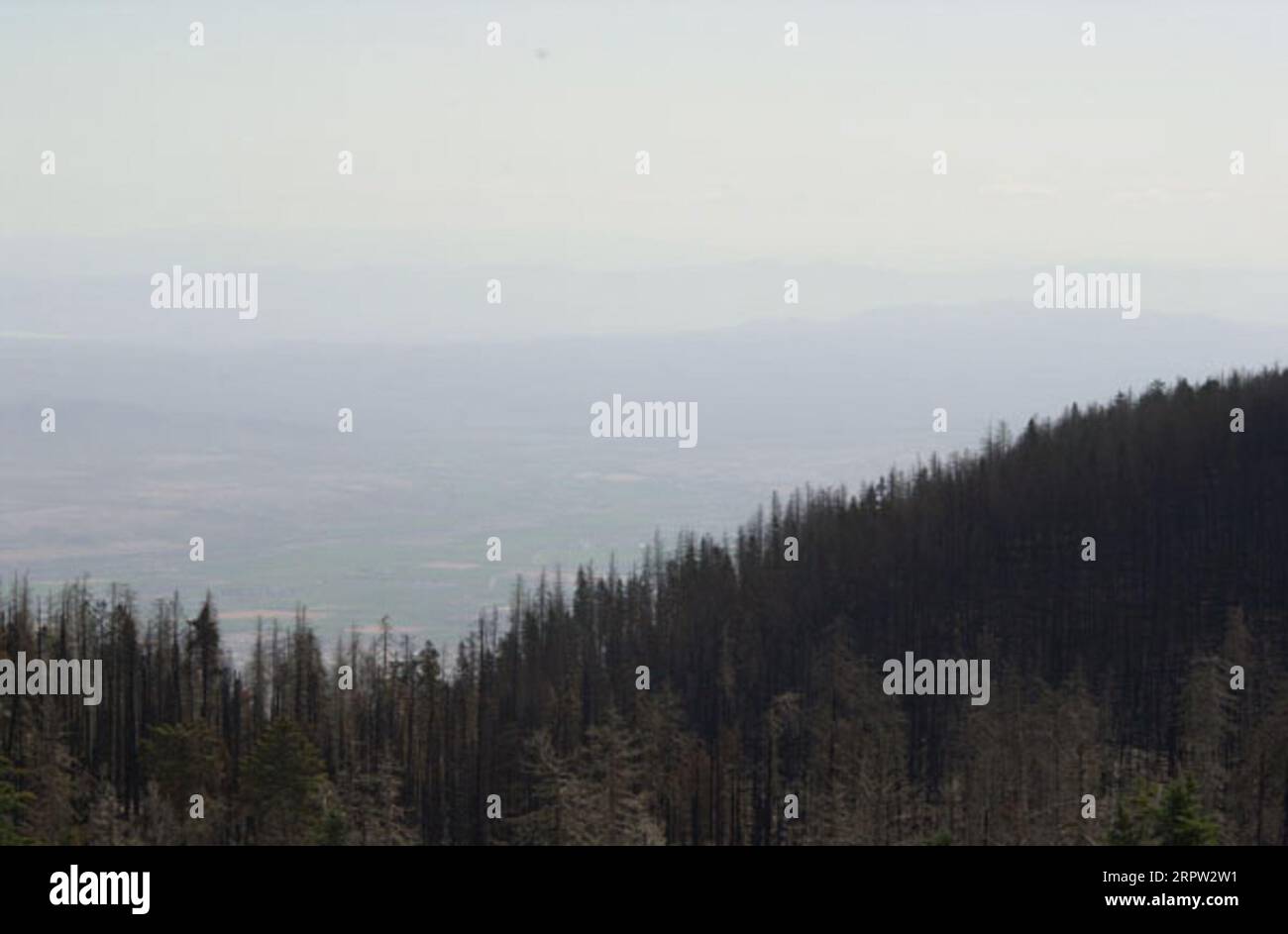 Coronado National Forest in vicinity of Mount Graham International ...