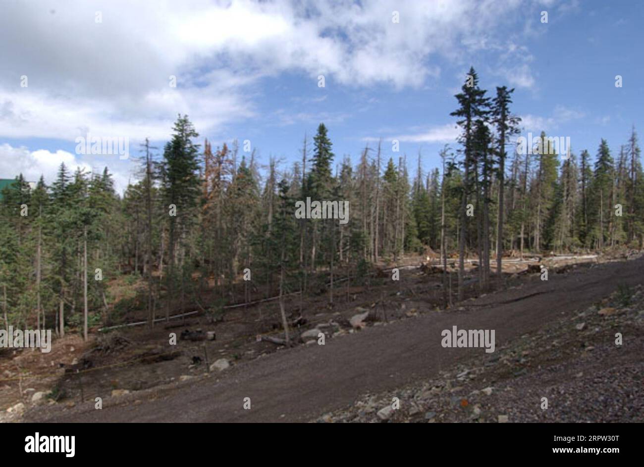 Coronado National Forest in vicinity of Mount Graham International ...