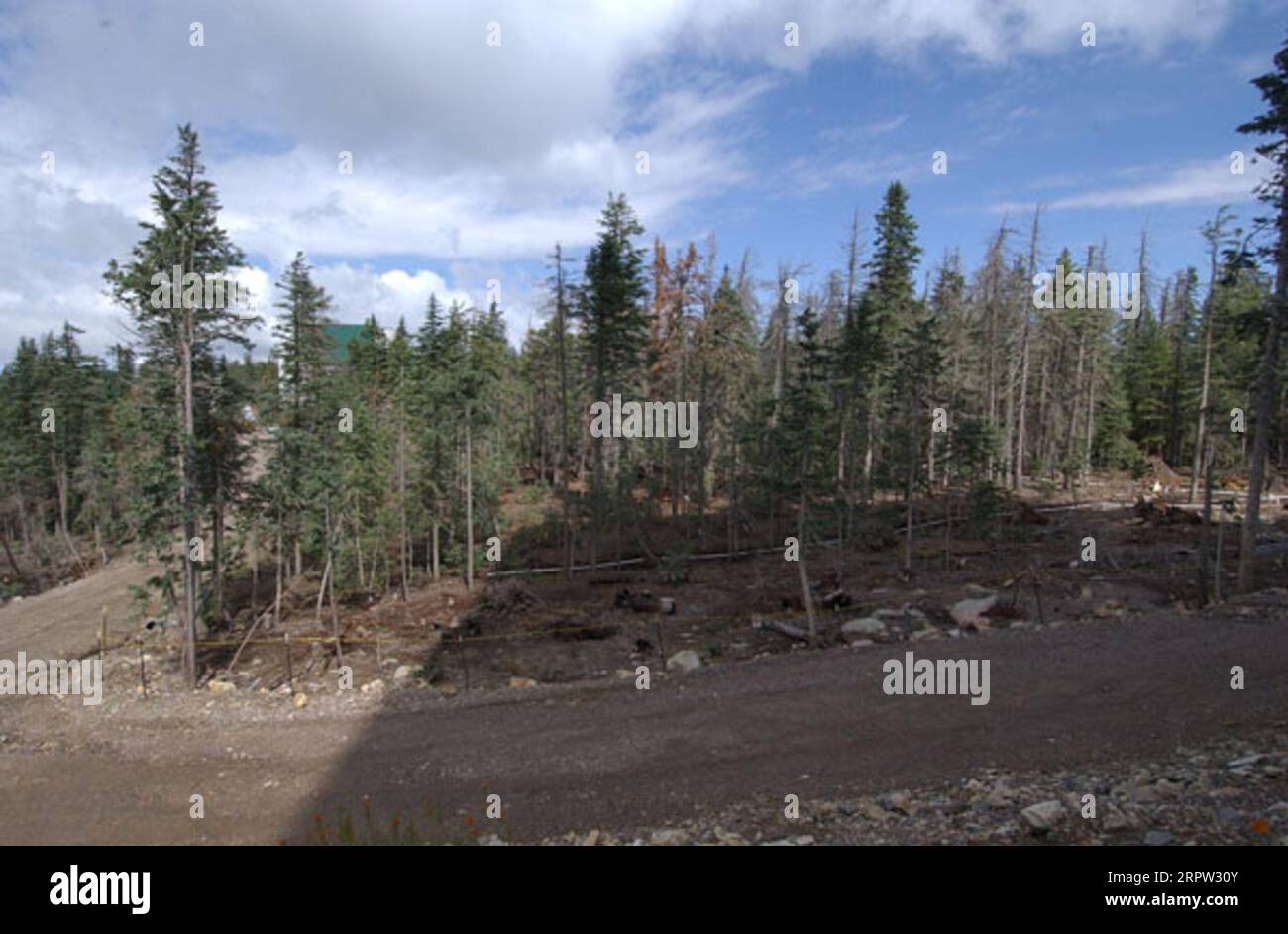 Coronado National Forest in vicinity of Mount Graham International ...