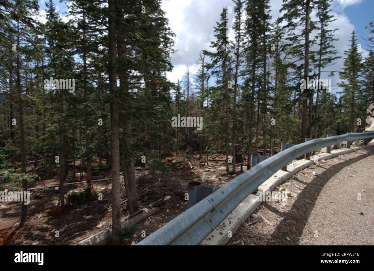 Coronado National Forest in vicinity of Mount Graham International ...