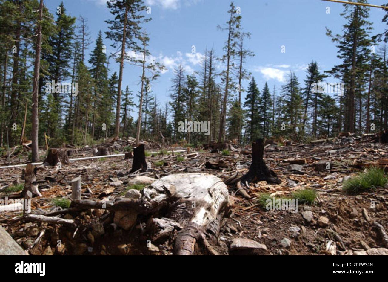 Coronado National Forest in vicinity of Mount Graham International ...