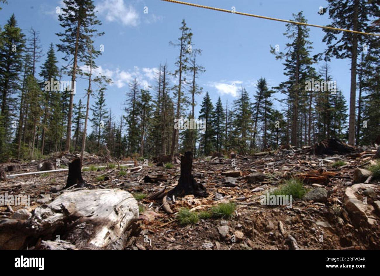 Coronado National Forest in vicinity of Mount Graham International ...