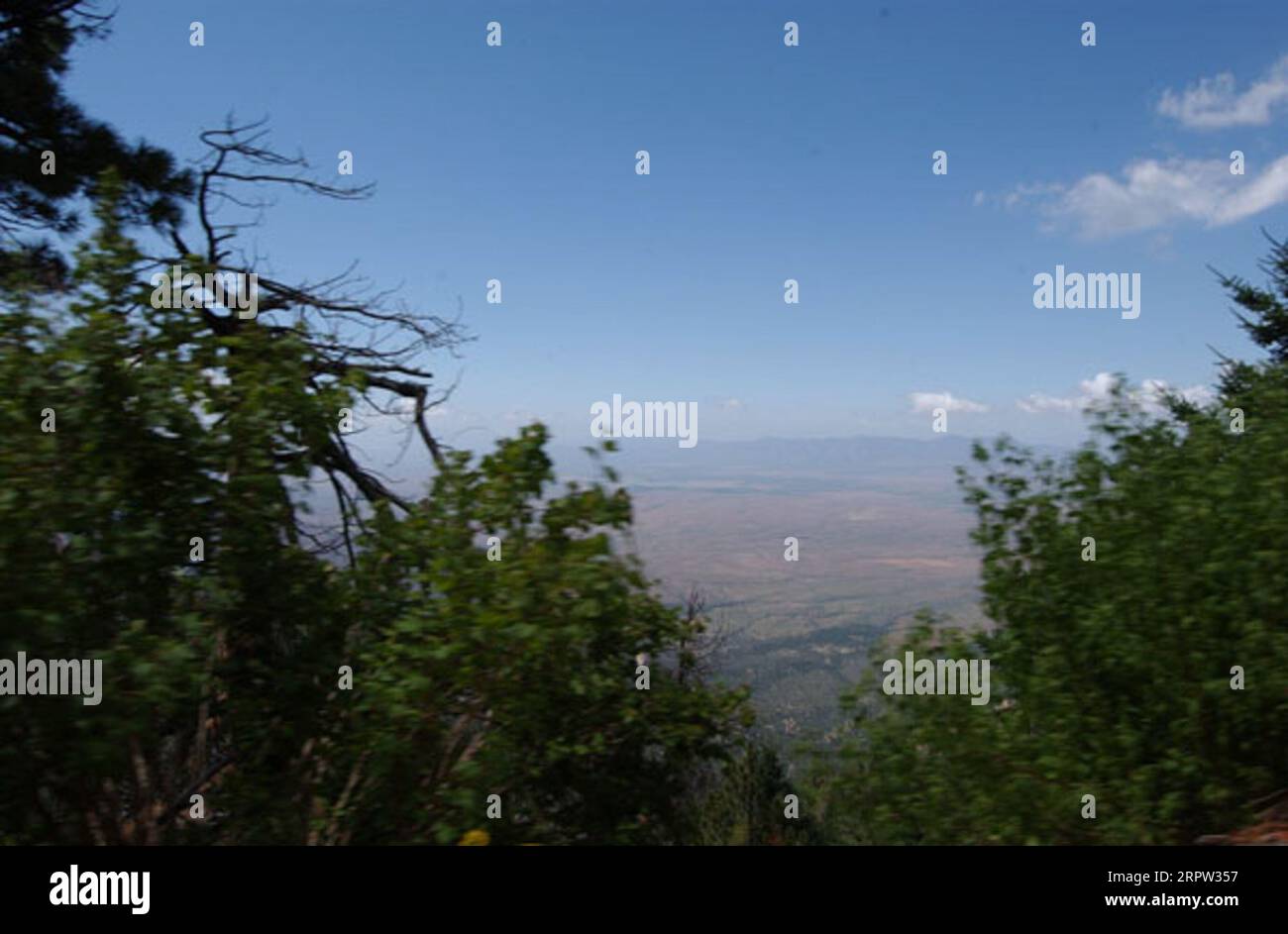 Coronado National Forest in vicinity of Mount Graham International ...