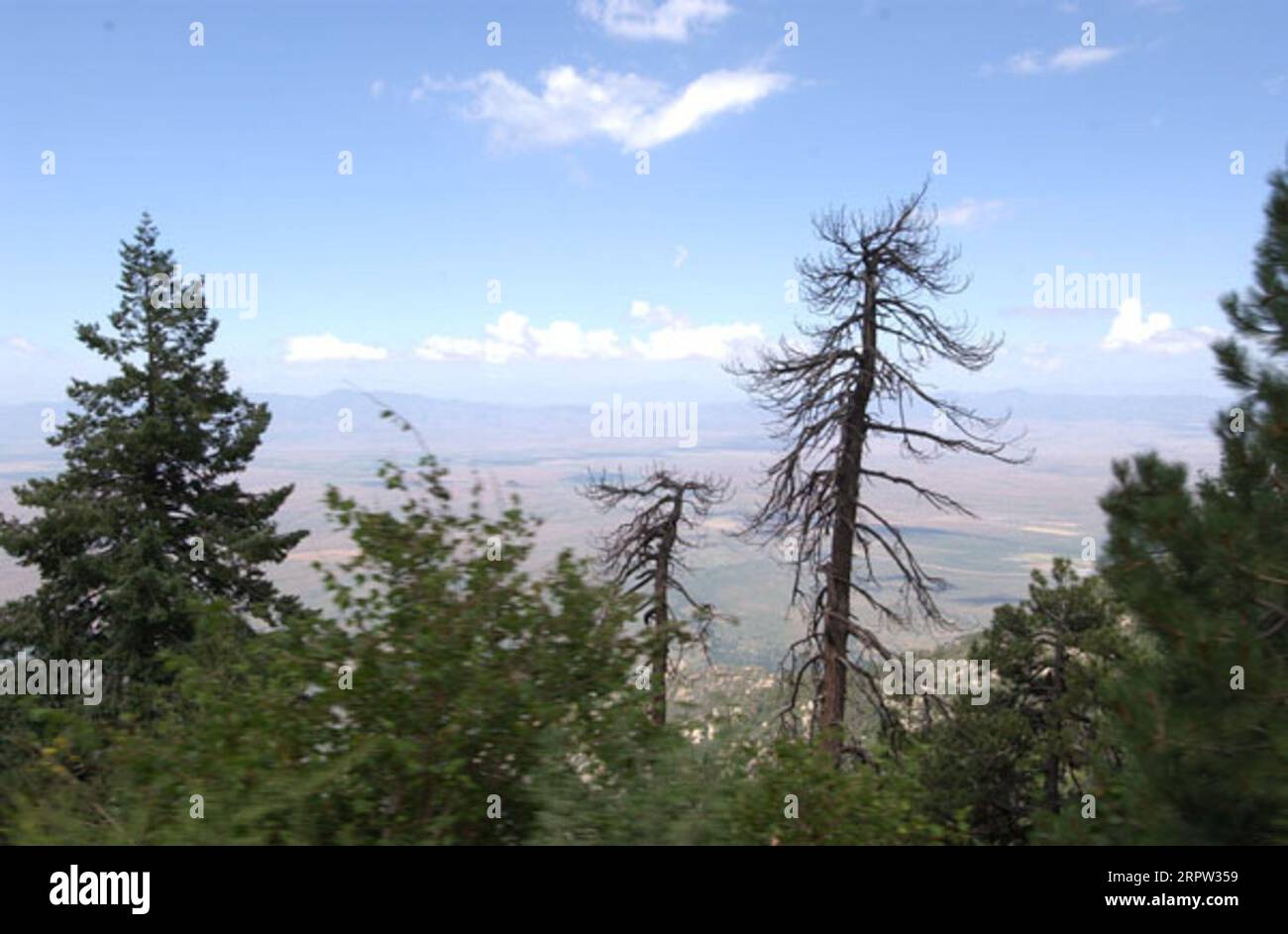 Coronado National Forest in vicinity of Mount Graham International ...