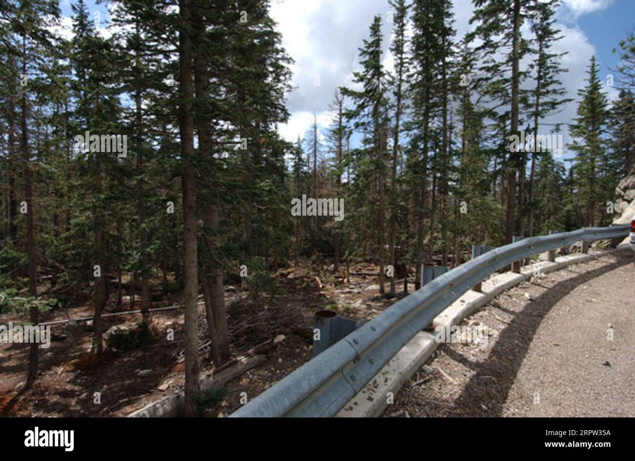 Coronado National Forest in vicinity of Mount Graham International ...