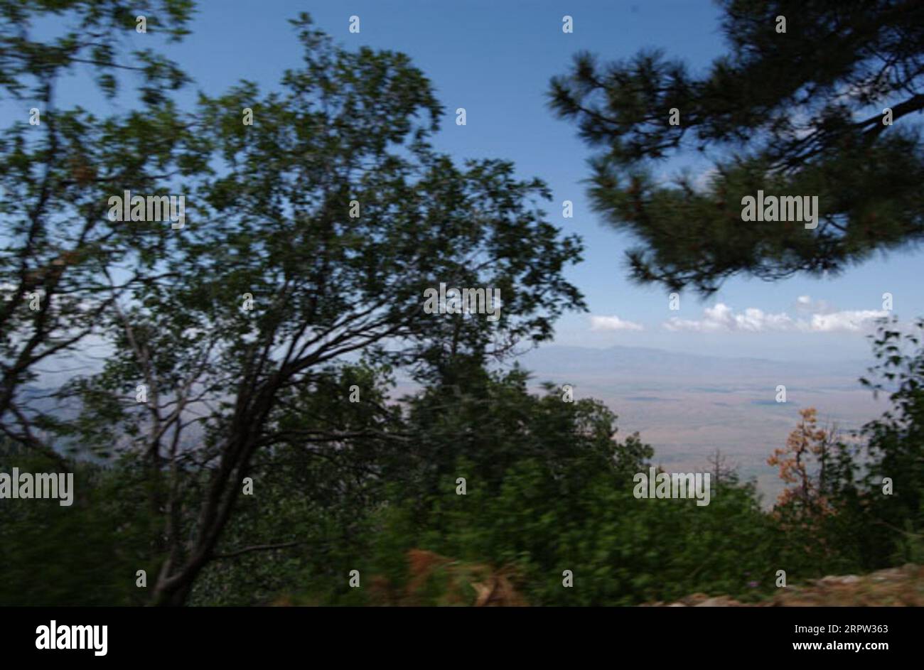 Coronado National Forest in vicinity of Mount Graham International ...