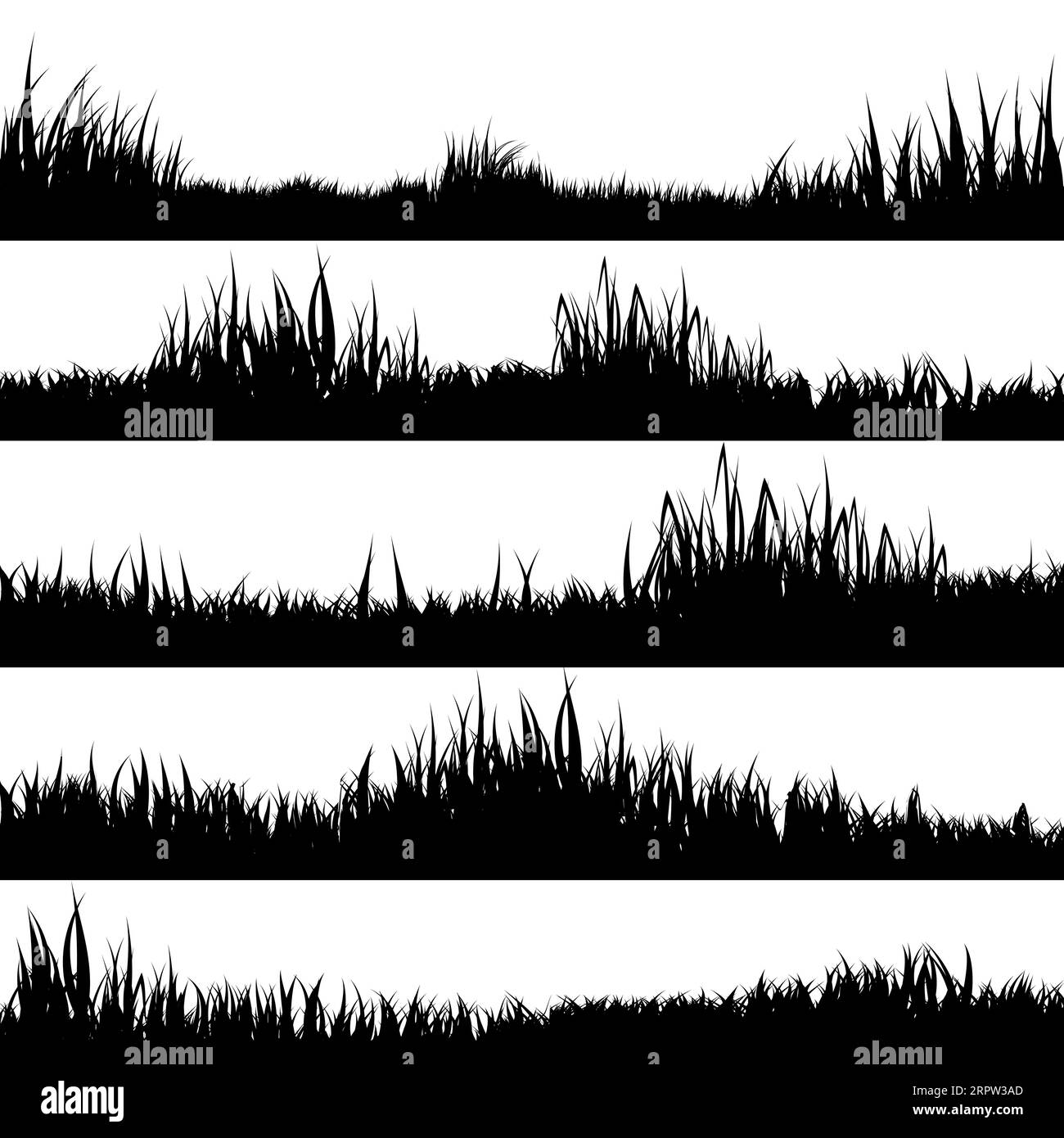 Meadow silhouettes with grass, plants on plain. Panoramic summer lawn ...