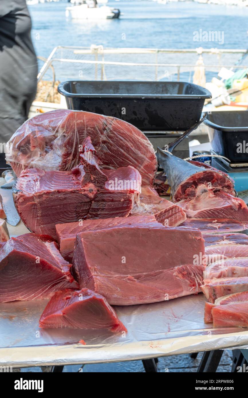 Catch of the day for sale on daily fish market in old port Marseille ...