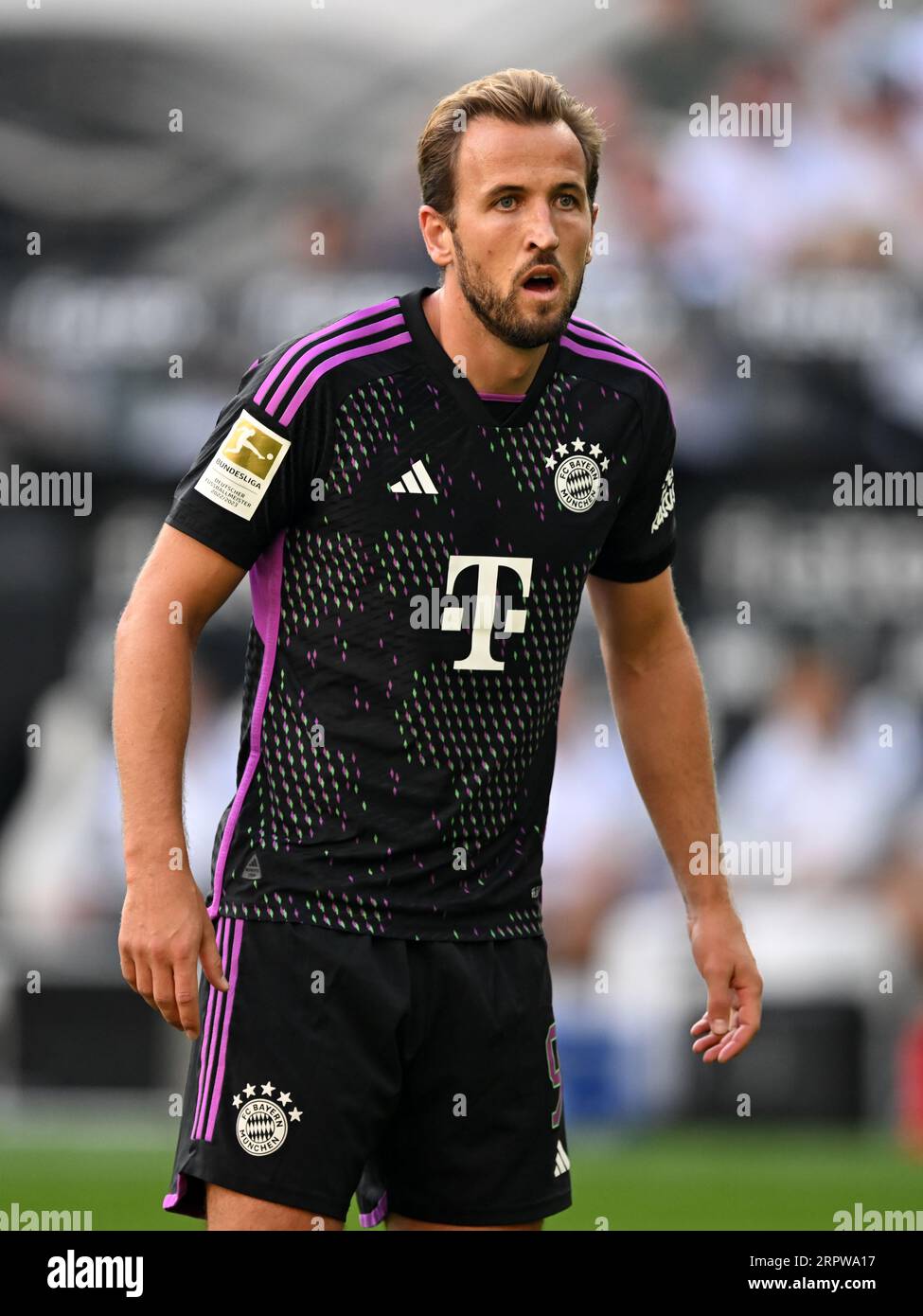 Bundesliga rugby hi-res stock photography and images - Alamy