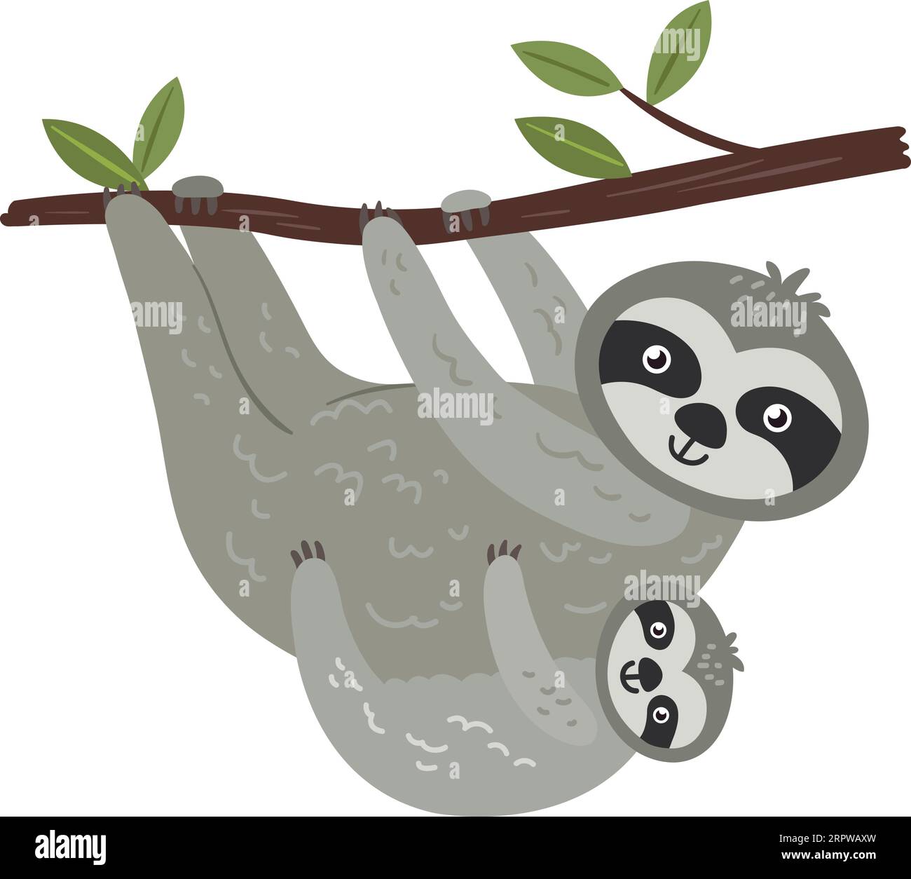 Mother sloth with her baby Stock Vector Images - Alamy