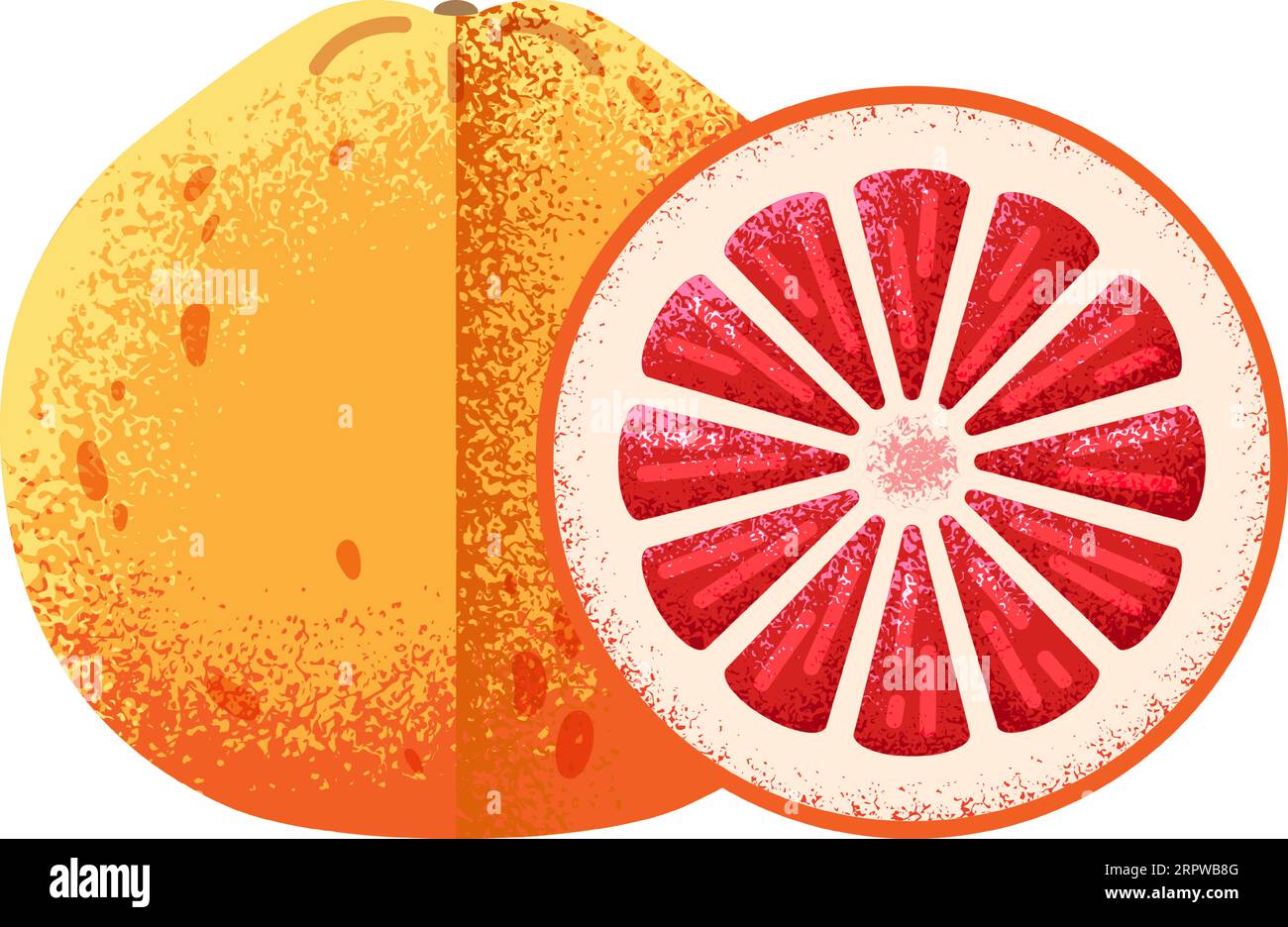 Pink grapefruit cut half Stock Vector Images - Alamy