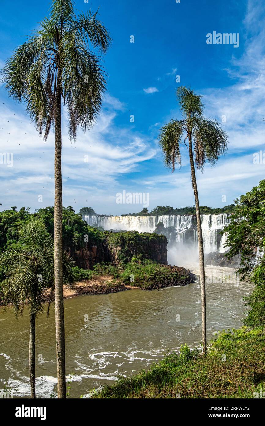 Iguazu Falls, the largest series of waterfalls of the world, located at ...