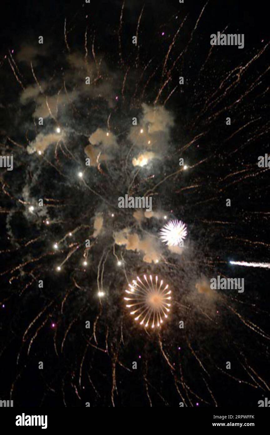 Fireworks display at National Fish and Wildlife Foundation's ...