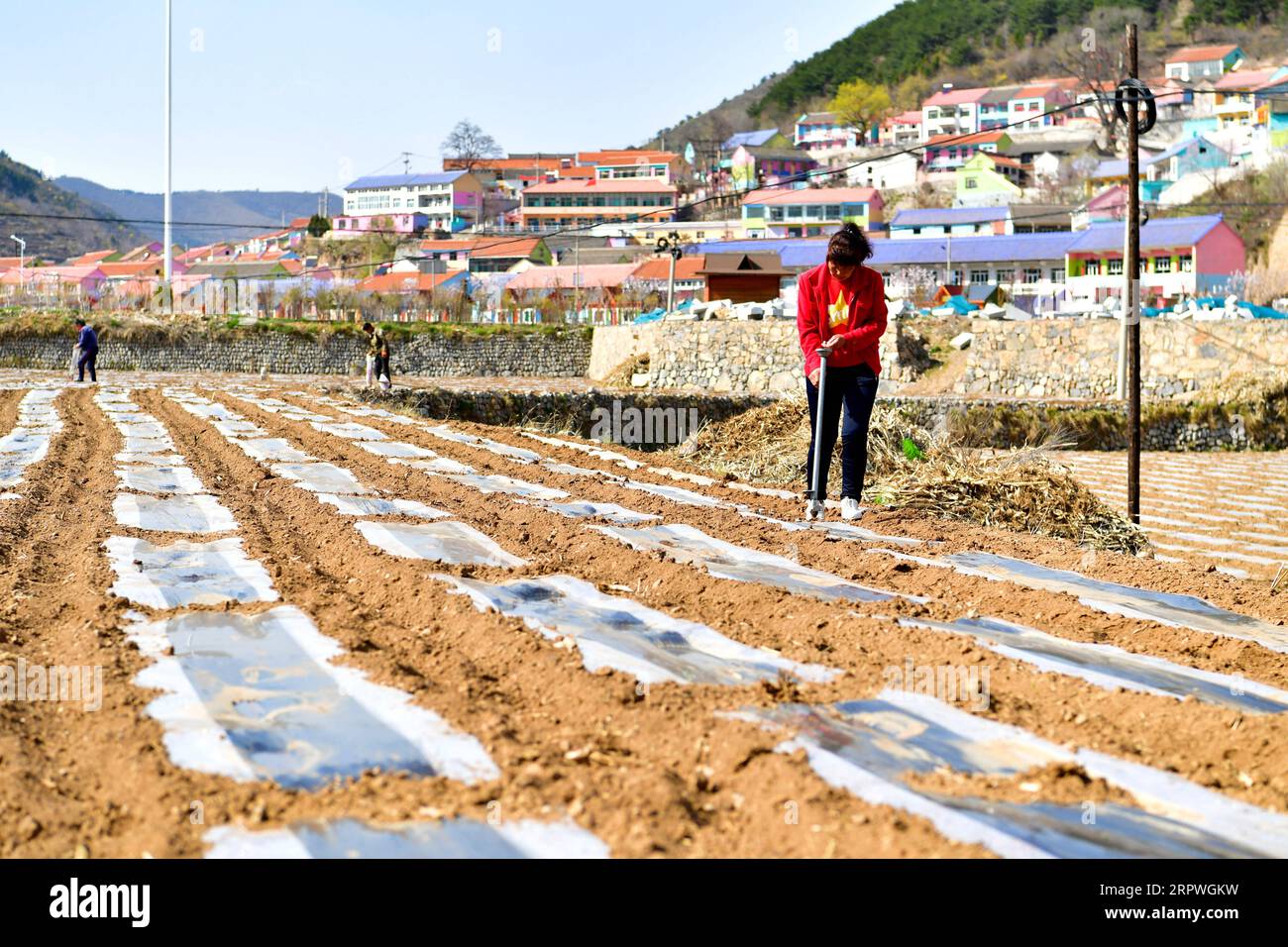 China farm wedding hi-res stock photography and images - Alamy