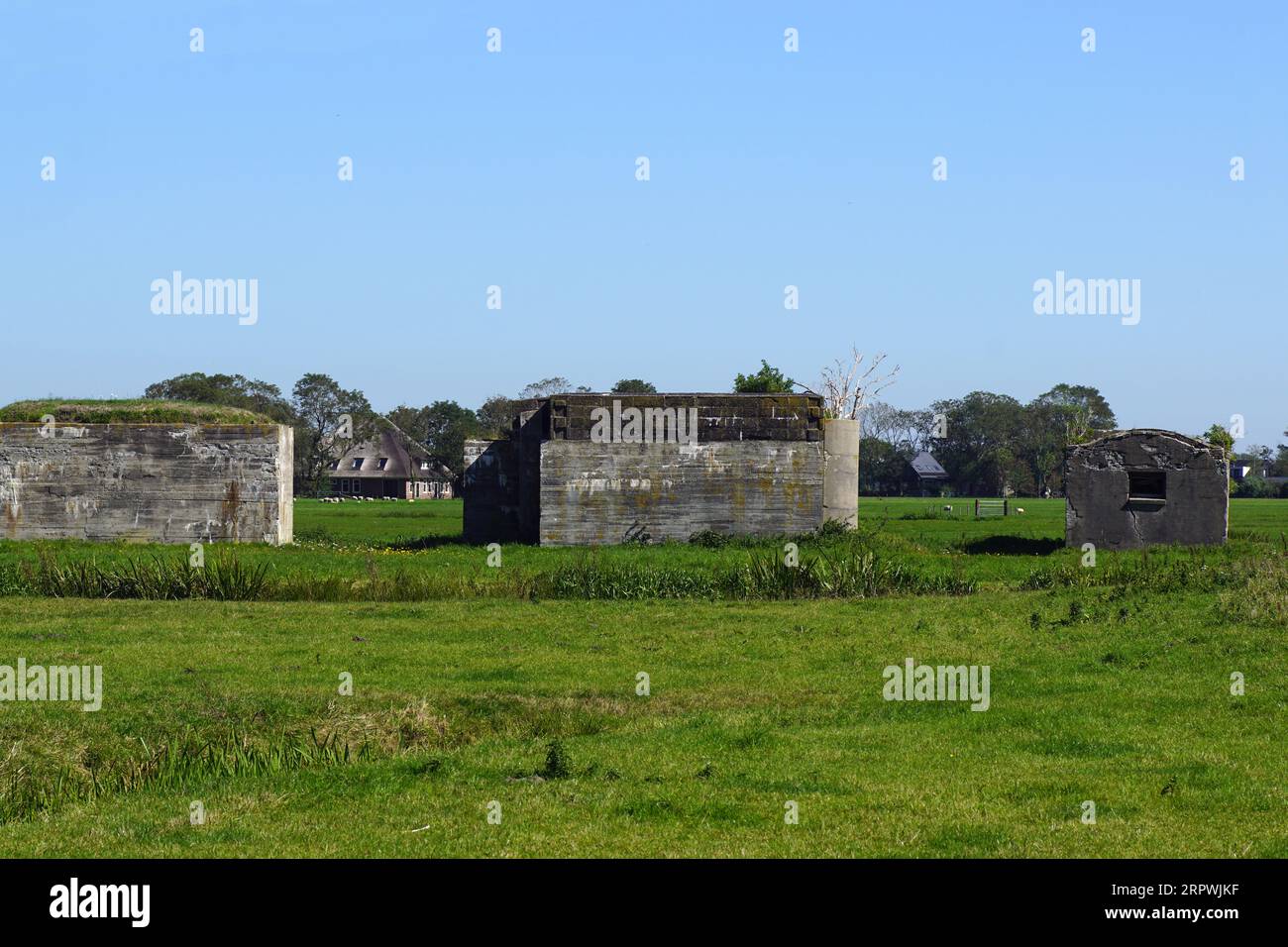 Concrete bunker from the Second World War in the meadow with farm near ...
