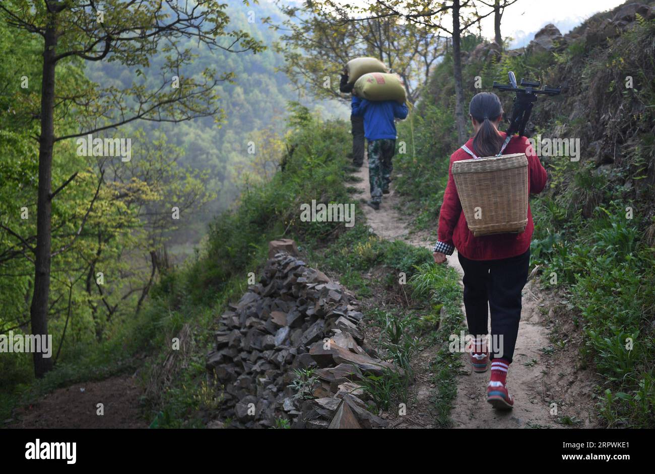 Icken hi-res stock photography and images - Alamy