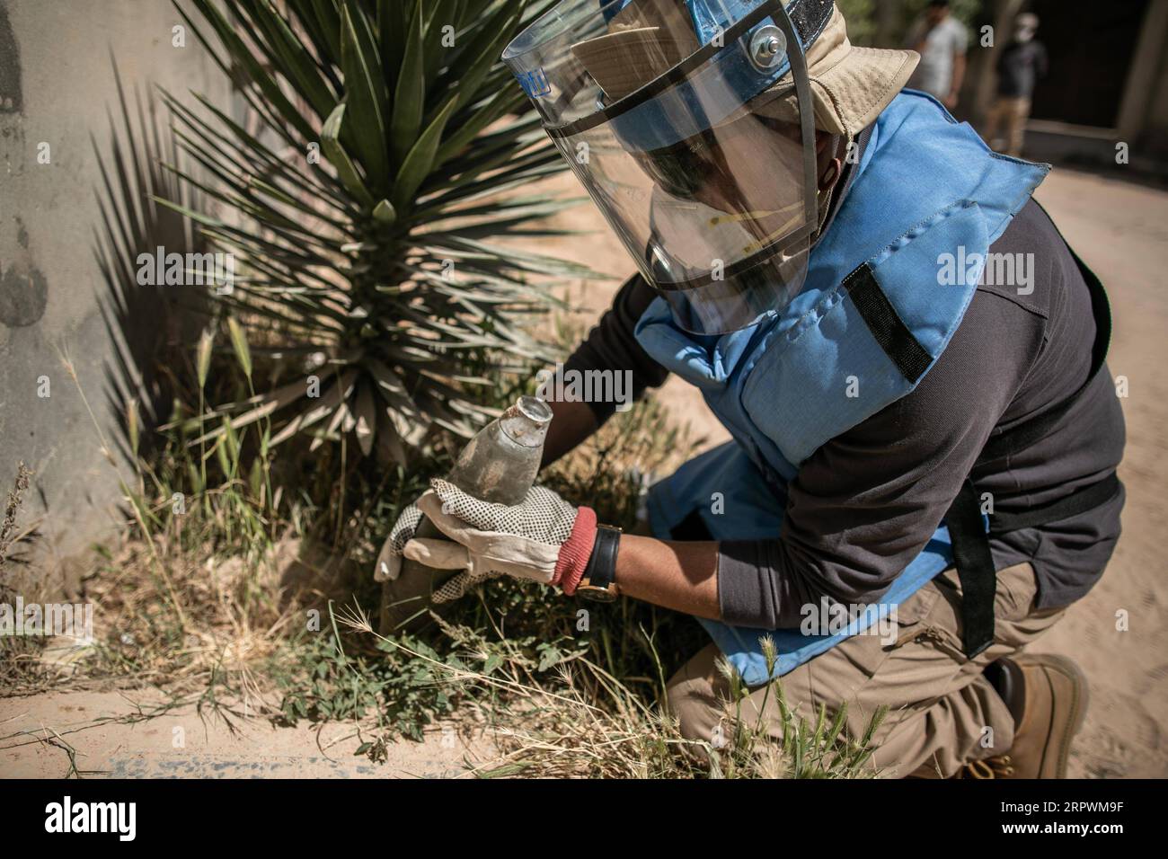 Shels clearance hi-res stock photography and images - Alamy