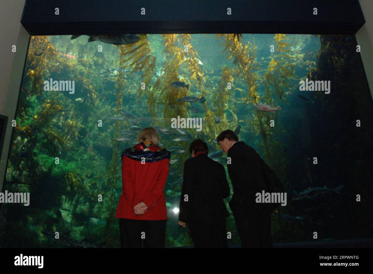 Visit by Secretary Gale Norton to the Birch Aquarium at the Scripps ...