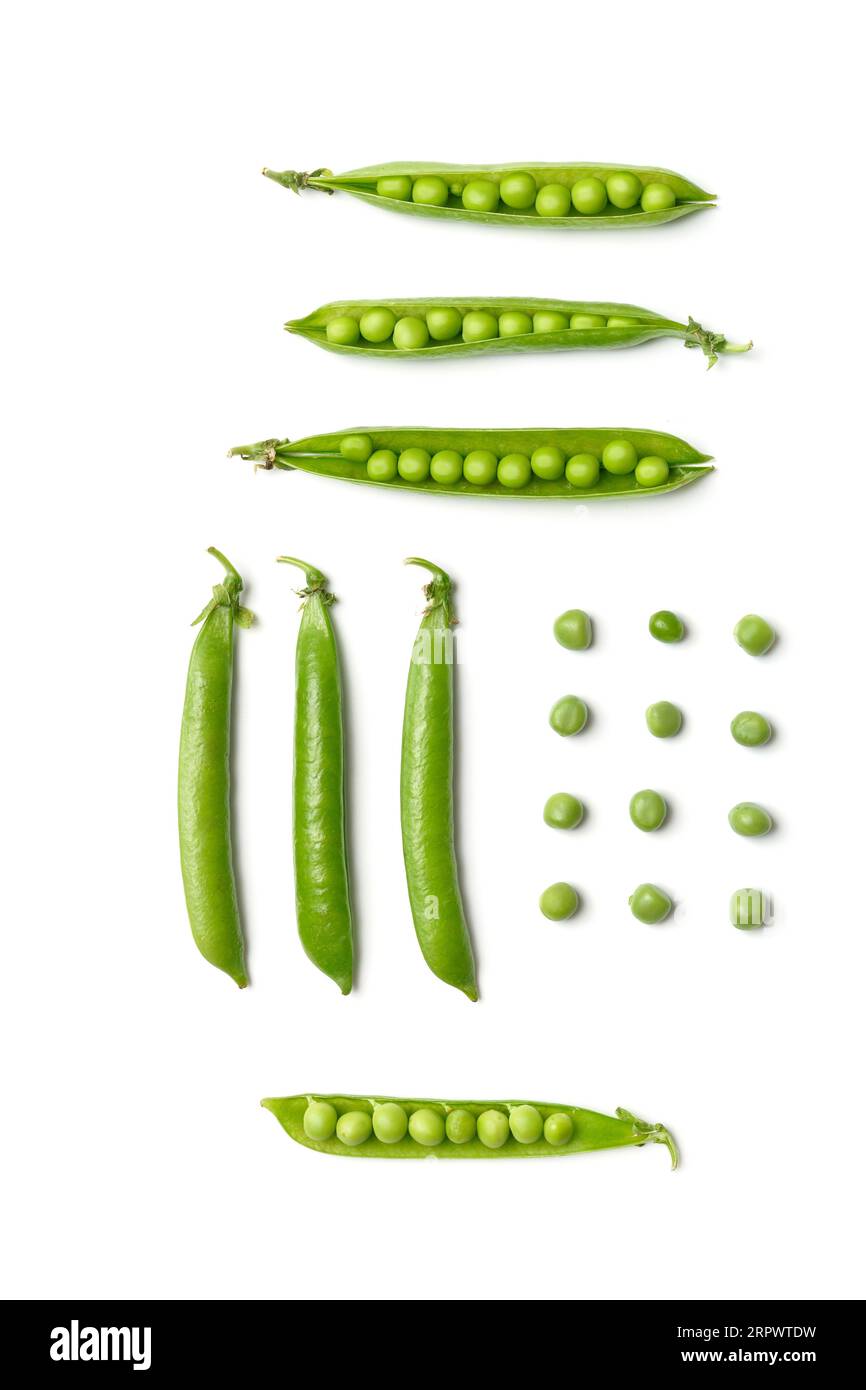 Objects laid out neatly hi-res stock photography and images - Alamy