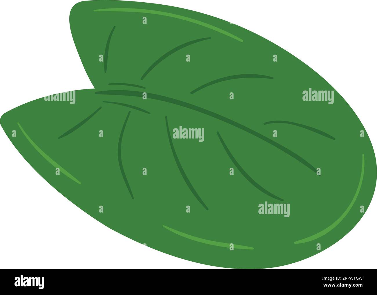 Water lily garden Cut Out Stock Images & Pictures - Alamy