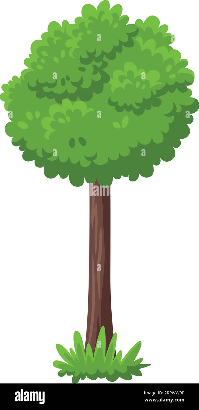 Green botany. Cartoon tree. Woodland nature element Stock Vector Image ...