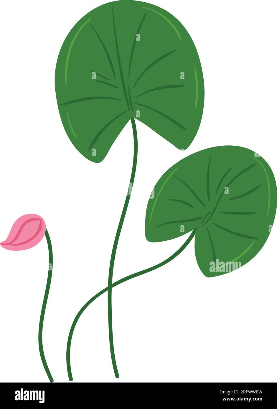 Lily with buds Stock Vector Images - Alamy