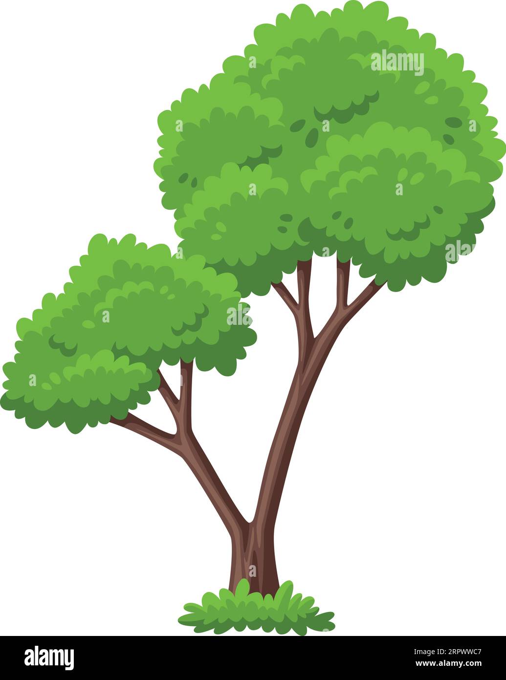 Tree icon. Cartoon park plant. Forest botany Stock Vector Image & Art ...