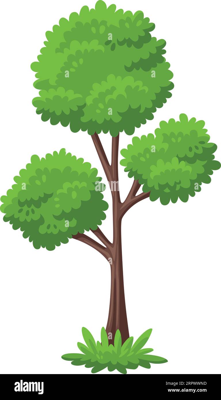 Forest green plant. Cartoon tree growing. Park nature Stock Vector ...