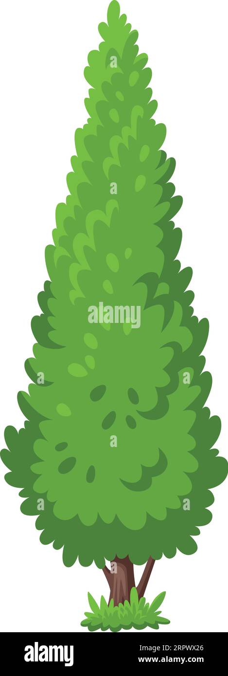 Conifer tree. Park nature. City botany element Stock Vector Image & Art ...