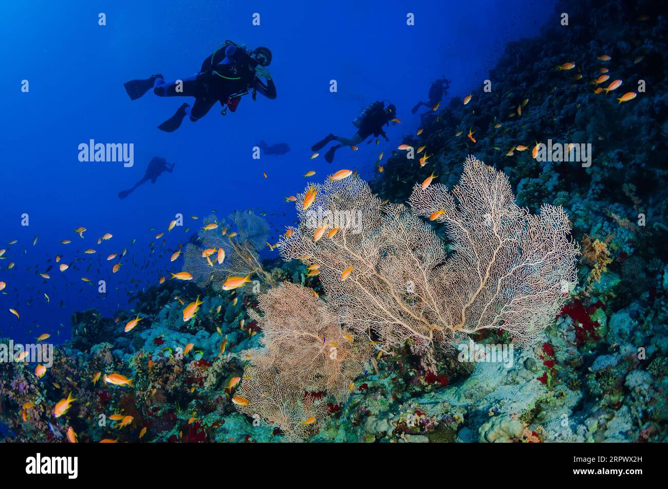 Going the same way Stock Photo - Alamy