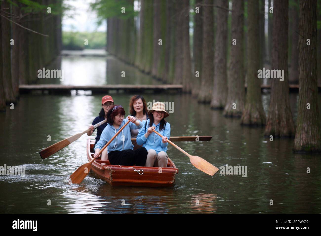 Luyang lake wetland aquatic forest park hi-res stock photography and ...