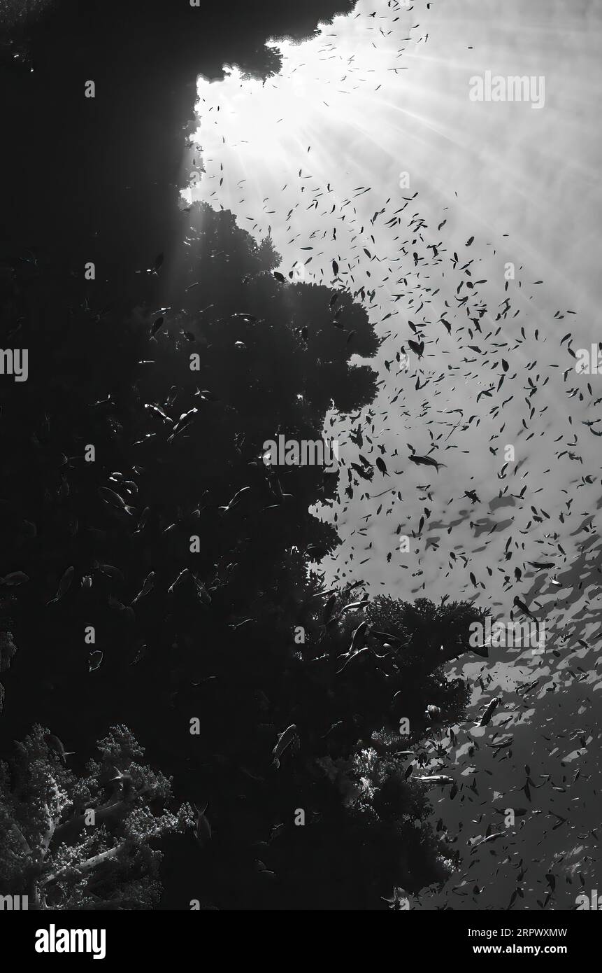 White rays hi-res stock photography and images - Alamy