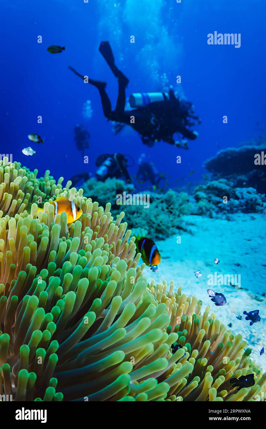 Bye the sea hi-res stock photography and images - Alamy