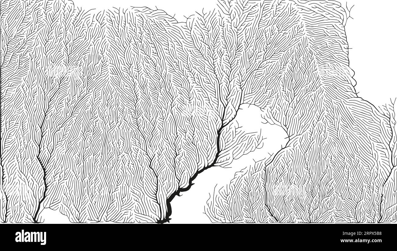 Growth Pattern Generative Branching Structure Organic Net Of Vessels Texture Stock Vector