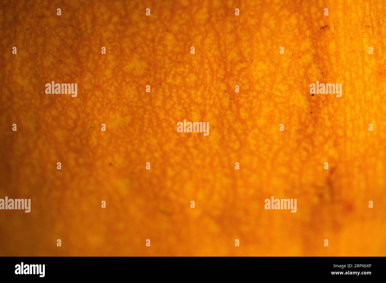 orange pumpkin skin texture background Stock Photo - Alamy