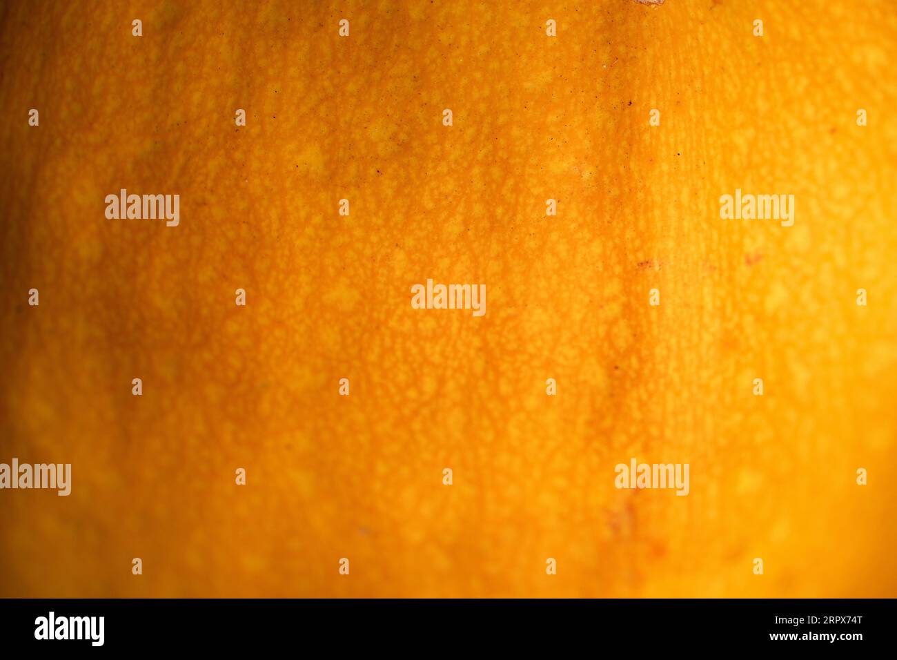 orange pumpkin skin texture background Stock Photo - Alamy