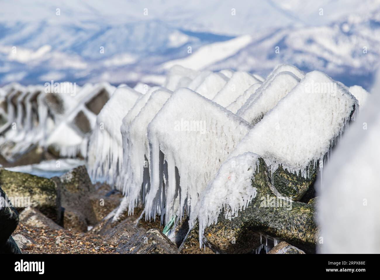 Ice covered concrete blocks as waves breakers on the Japanese beach in ...