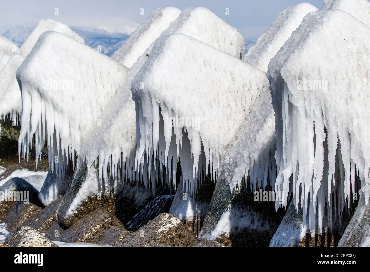 Ice covered concrete blocks as waves breakers on the Japanese beach in ...